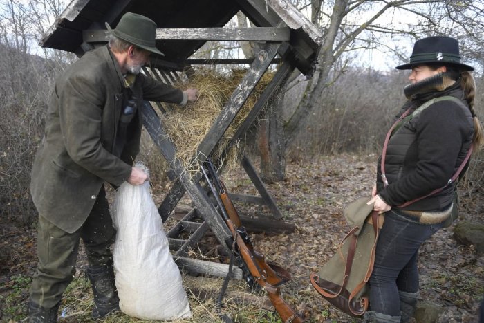 Poľovníci vlani vyzbierali z prírody STOVKY ton odpadu: Činili sa aj v ...